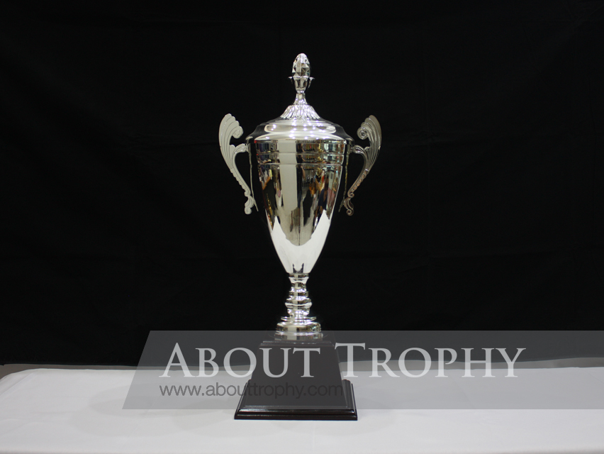 TI-137 - อะเบาท์ โทรฟี่